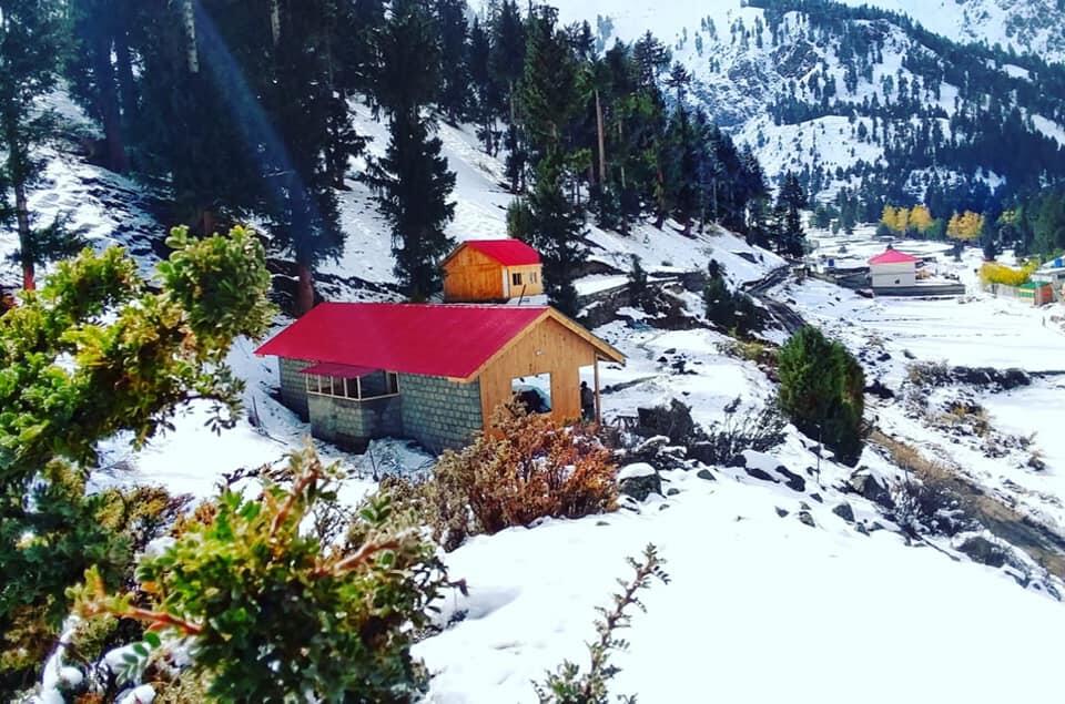 Strawberry Huts - Tripako