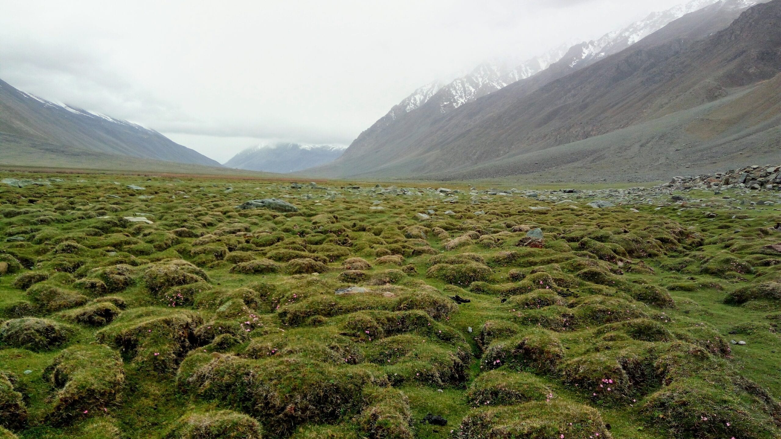 SHANDUR PASS: ROOF OF THE WORLD - Tripako