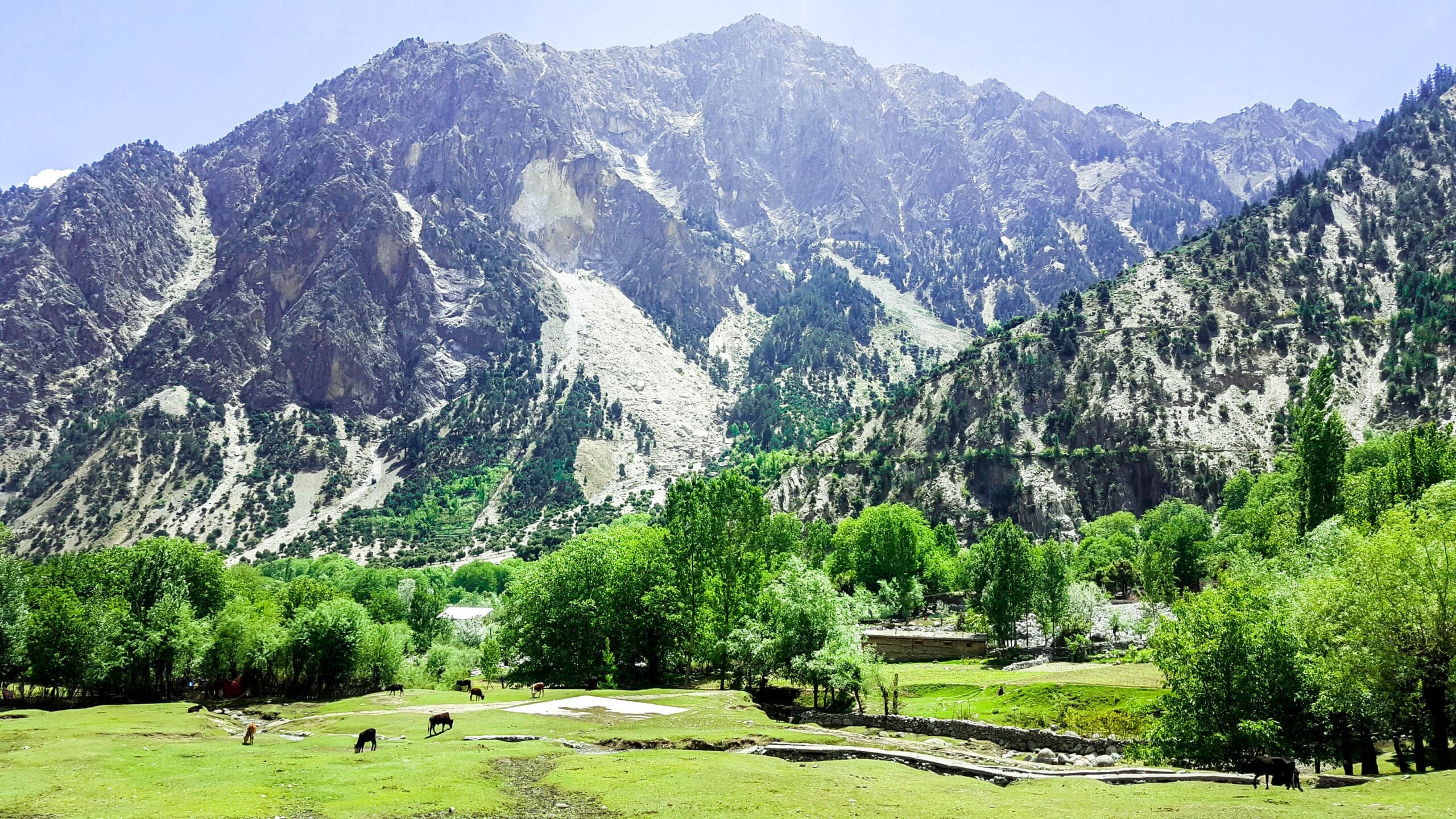 BUMBURET/ KALASHA VALLEYS: INTANGIBLE CULTURAL HERITAGE - Tripako