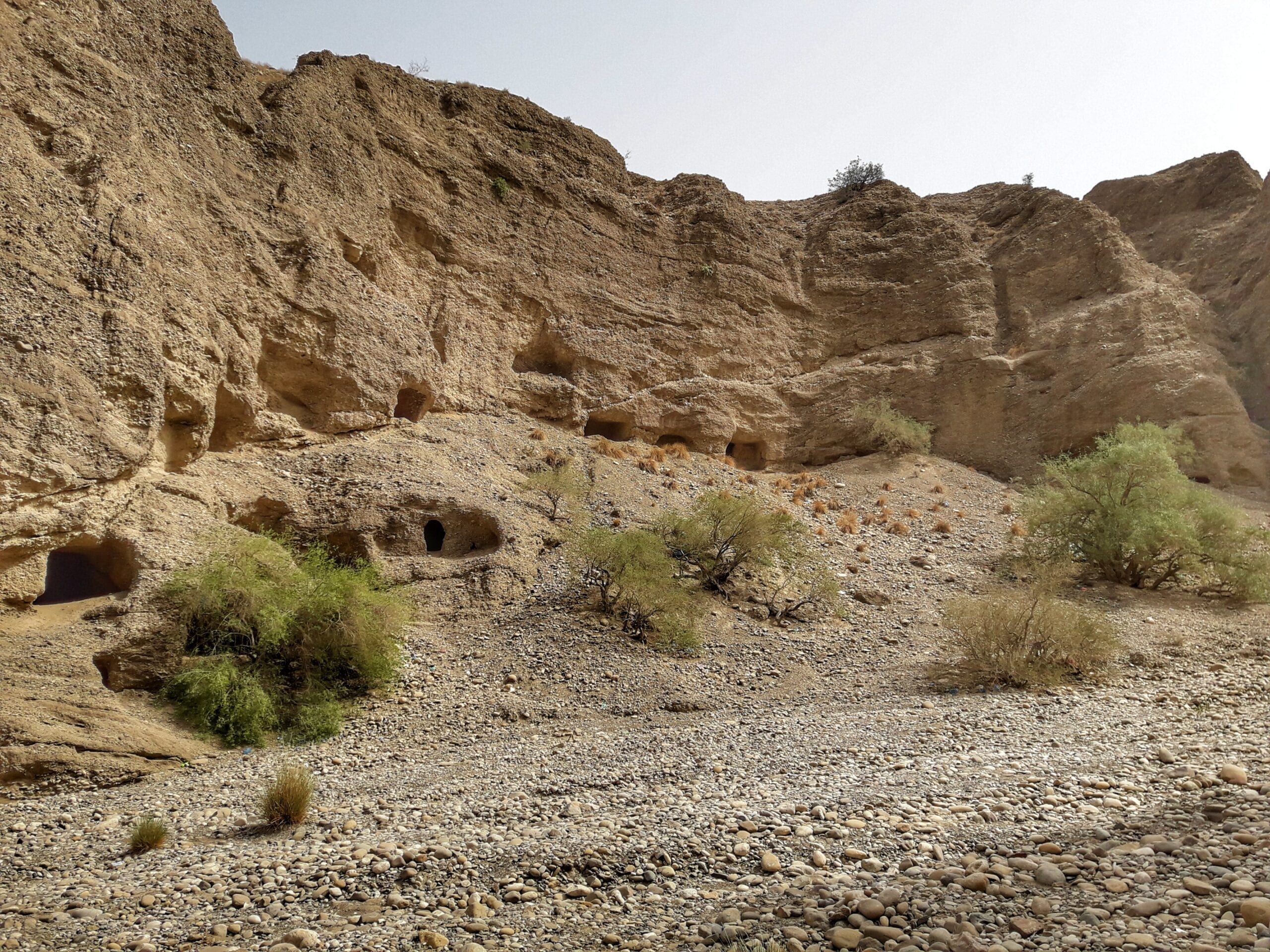 Gondarani Bela (Shehr-e-Roghan) - Tripako